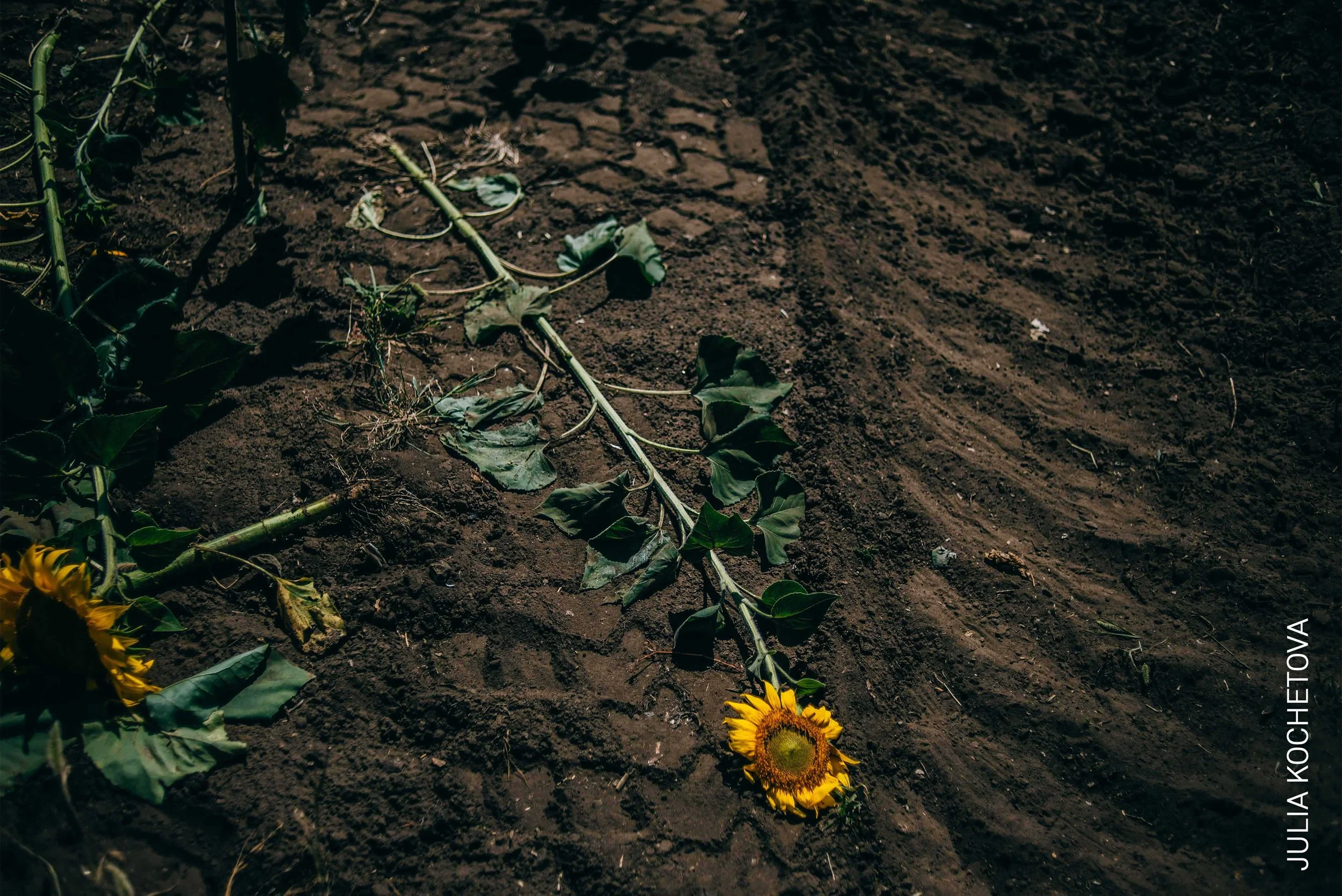 » The 2024 World Press Photo Exhibition Opens in London